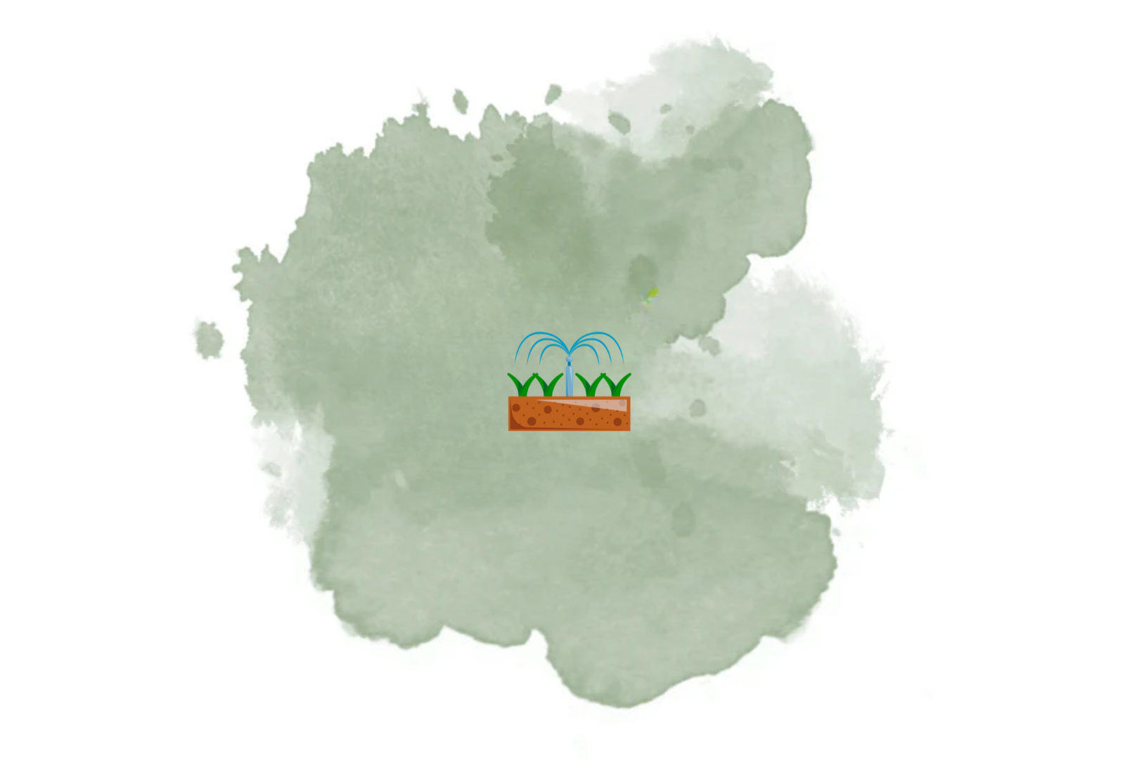 Lawn Burn: Causes and Solutions