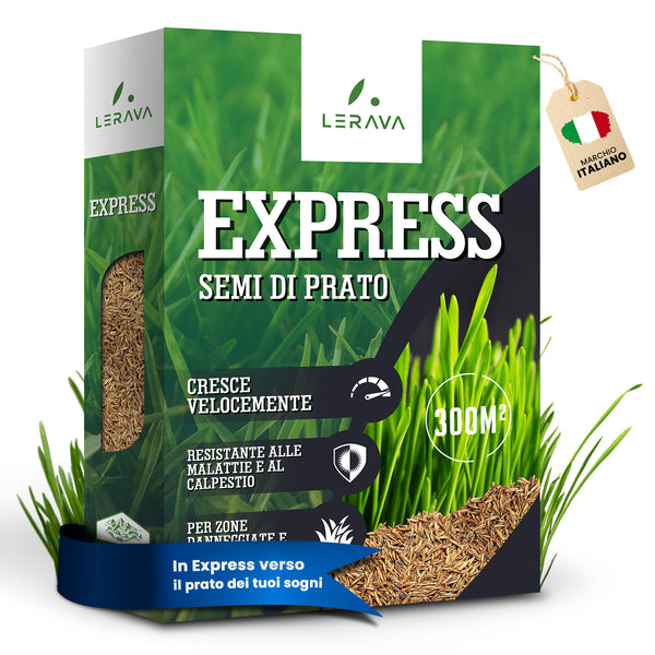 EXPRESS | Semi Prato Crescita Rapida | [30m² - 360m²] | LERAVA®